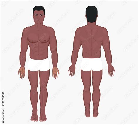 Naked Body Of African American Man In Full Growth In Shorts Posterior