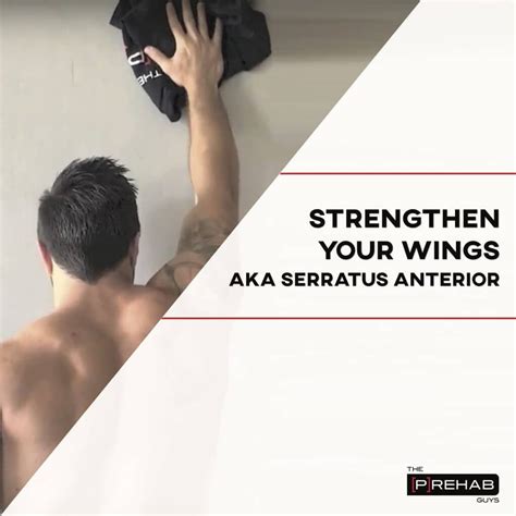 Learn The Best Serratus Anterior Exercises P Rehab