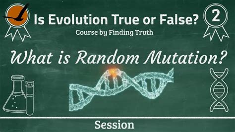 what is random mutation evolutioncourse session 2 youtube