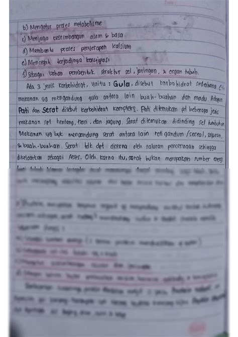Solution Sistem Pencernaan Manusia Studypool