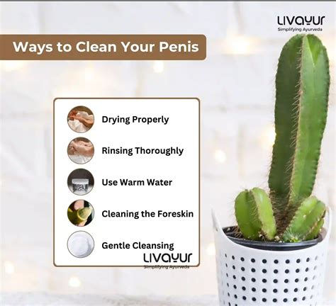 How To Clean Penis Livayur