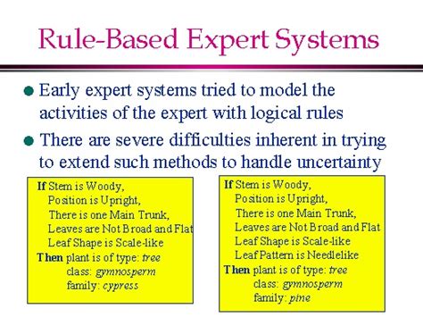 rule based expert systems