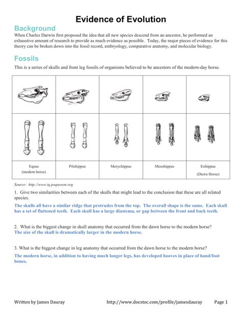 Evidence Of Evolution Answer Key 1