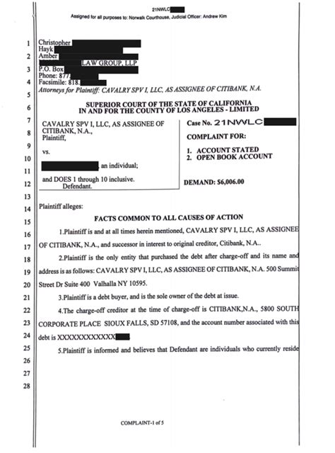 Defendant Definition And Everything You Need To Know SoloSuit Blog