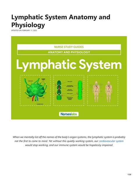 Lymphatic System Anatomy And Physiology Nurseslabs Nbkomputer