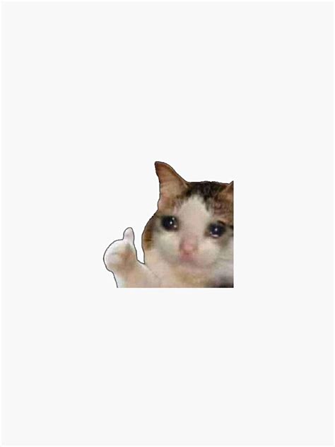 Crying Cat Thumbs Up Meme Stickers Funny Cat Lovers Gift Sticker For