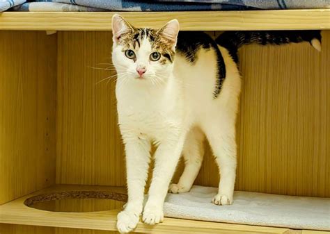 Tierheim Iserlohn Lemmy Und Louis