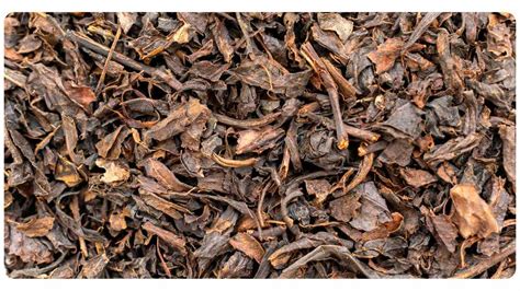 5 Benefits Of Herbal Tea The Botanical Institute