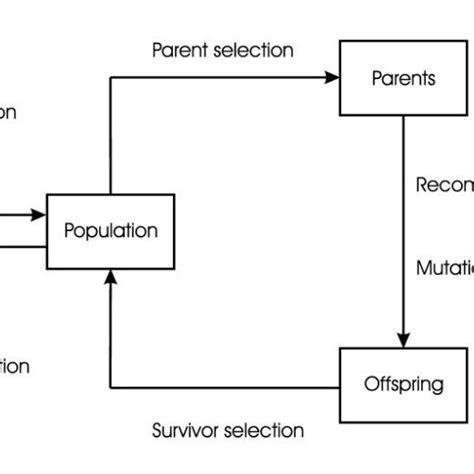 genetic algorithm flow [] download scientific diagram