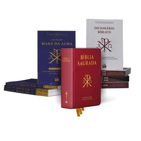 Combo da Bíblia I Bíblia Sagrada Dicionário Bíblico 3 vols da