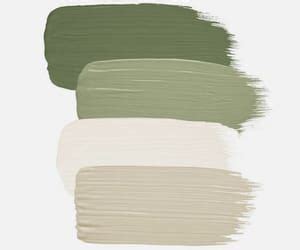 20 Best Olive Green Paint Colors HOMYHOMEE