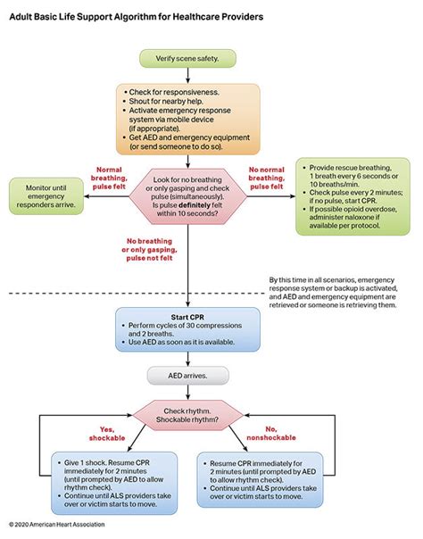 Acls Provider Manual Pdf