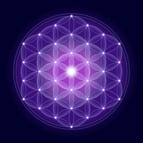 The Flower Of Life Symbol Meaning And Origins In Sacred Geometry