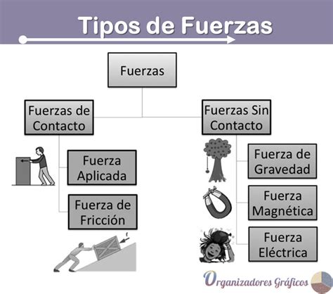 Organizador gráfico sobre los tipos de Fuerza Organizadores Gráficos