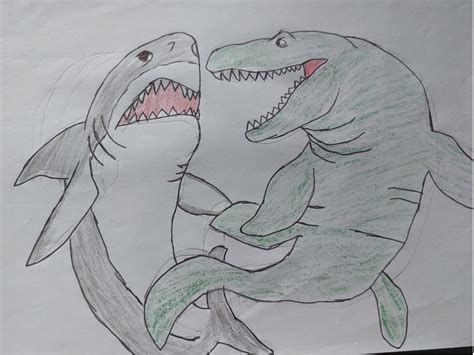 My Drawing Of A Mosasaurus Against A Megalodon Fandom