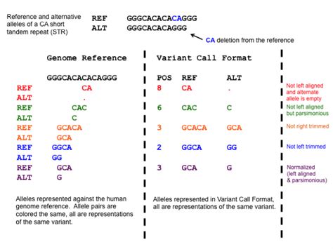 Variant Normalization Genome Analysis Wiki