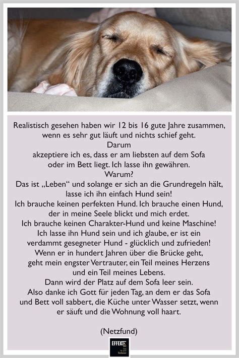 Pin von RichardRoe auf Der Hund blieb mir im Sturme treu Sprüche