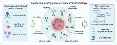 Engineering Interferons And Interleukins For Cancer Immunotherapy