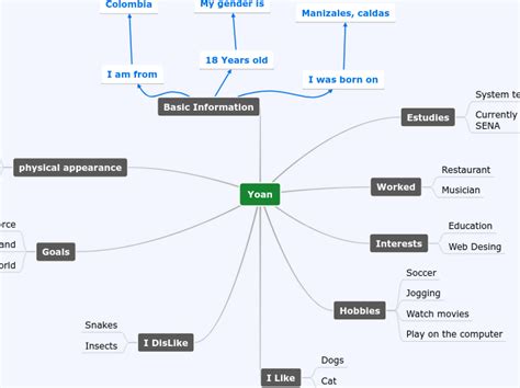The Map Of My Life Mind Map