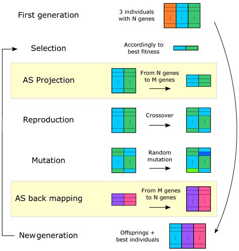 jmse free full text hull shape design optimization with parameter space and model reductions