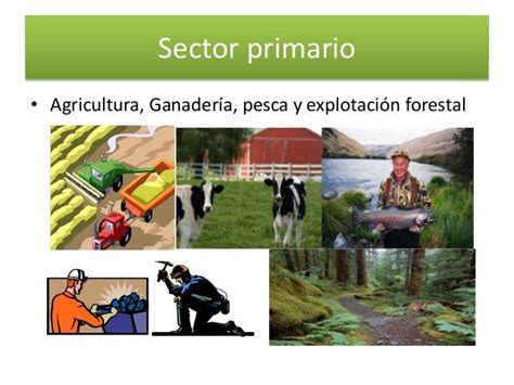 Sector Primario Agricultura Ganaderia Y Pesca Pesca Información