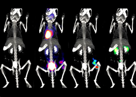 Multimodality Imaging ScienceVision