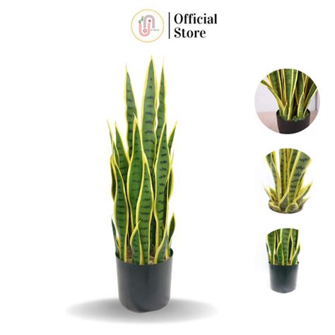 Promo Tanaman Hias Pot Pohon Lidah Mertua Plastik Artificial Dekorasi