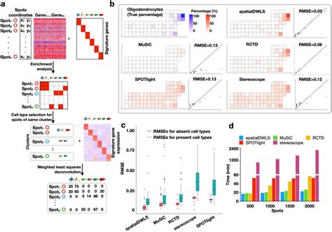 spatialdwls accurate deconvolution of spatial transcriptomic data biorxiv