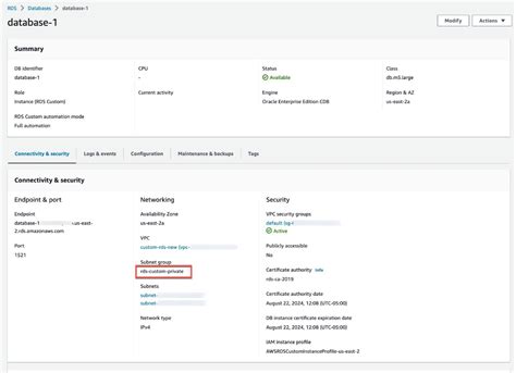 Troubleshoot Network Connectivity To Amazon RDS Custom Databases Using