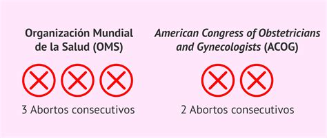 Qu Es El Aborto Recurrente Causas Diagn Stico Y Tratamiento