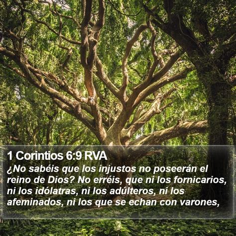 1 Corintios 6 9 RVA No sabéis que los injustos no poseerán el