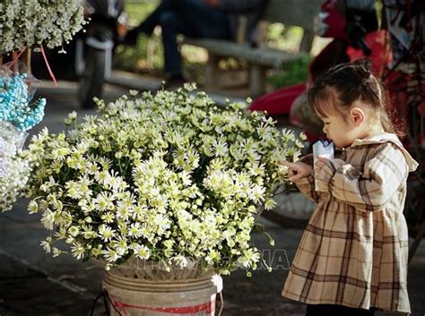 A Romantic Hanoi Autumn With Flower Street Vendors VNA Photos
