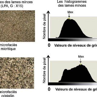 Les E Le Ments Danalyse Pour La Caracte Risation Se