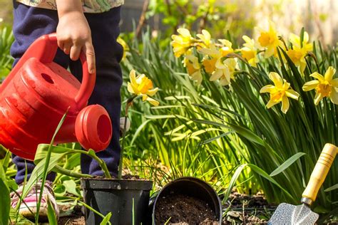 Jardiner En Mars Que Faire Au Jardin En Au D But Du Printemps