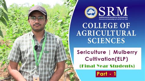 Sericulture ELP Part 1 Mulberry Cultivation SRM College Of