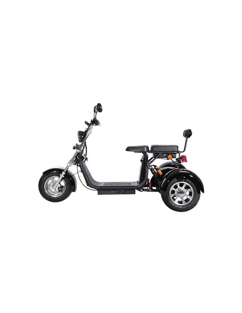 City Coco 3 Roues 2 Places 2000 Watts Avec Panier