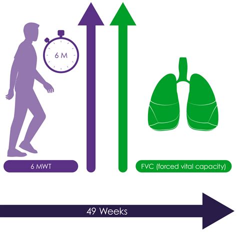 Congress Highlights Pompe Disease Key Findings From WMS 2022