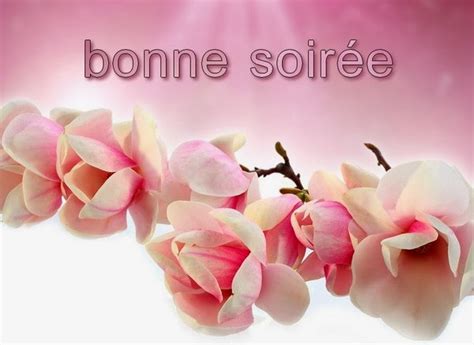 Citations et Panneaux Facebook à partager Bonne soirée bonne nuit