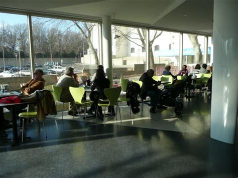 Photos Brooklyn Museum S New Cafe Prospect Heights Ny Patch