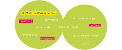 Kompass für Seele Das Fazit neuester Studien zu Resilienz und