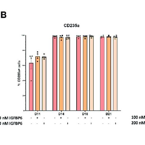 IGFBP6 Alone Has No Effect On Erythroid Cell Maturation And