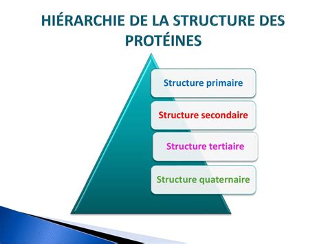 STRUCTURE DES PROTÉINES ppt télécharger