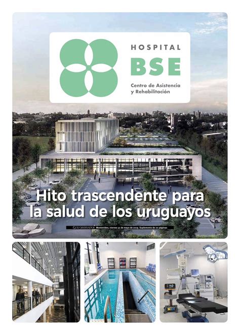 PDF Hito Trascendente Para La Salud De Los Uruguayos Que Es La