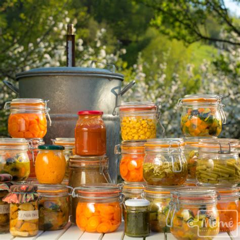 Conserves bio maison faire ses bocaux Chez mémé
