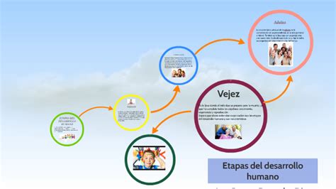 Las etapas del desarrollo humano y sus caracteristicas según by ana