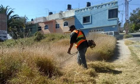 Dirección de Aseo Público realiza limpieza en baldíos y avenidas