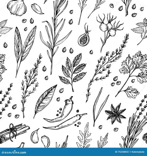 Hand Drawn Vintage Background Herbs And Spices Vector Seamless