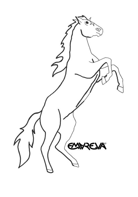 Coloriage Cheval Qui Se Cabre Coloriage De Chevaux Qui Se Cabre Danieguto