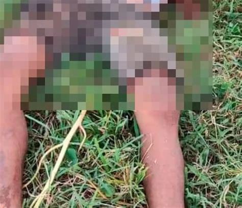 Atroz Torturado Y Decapitado Hallan Cuerpo De Hombre En Una Finca