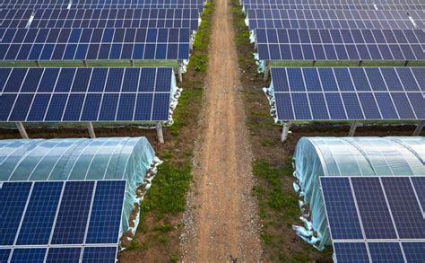 Qu Es Y C Mo Funciona La Energ A Solar Fotovoltaica Energ A Sostenible